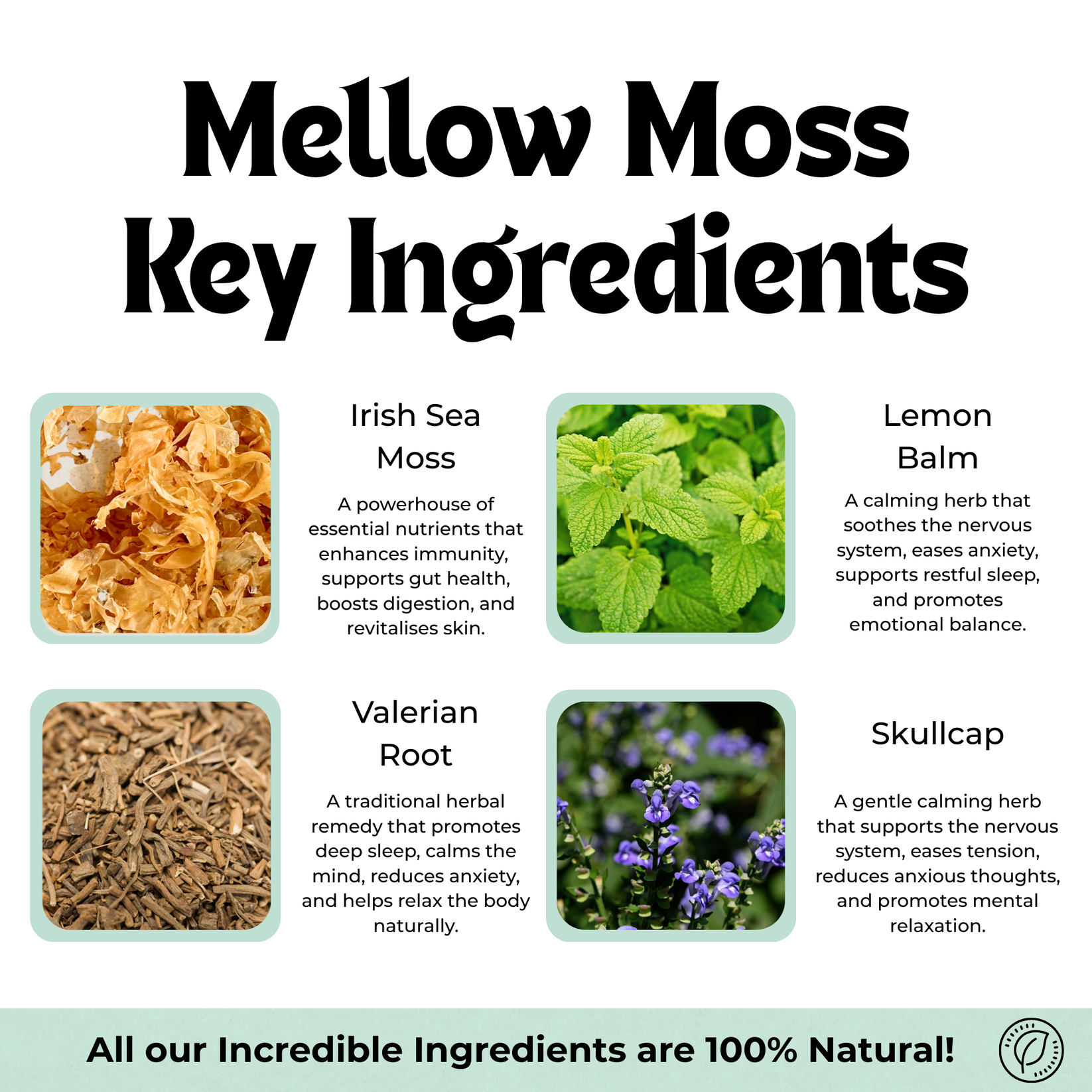 Mellow Moss Capsules | Organic Moss Capsules | The Moss Way