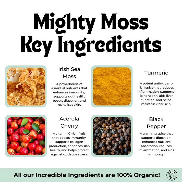 Mighty Moss Capsules | Organic Moss Supplements | Moss Way – The Moss Way