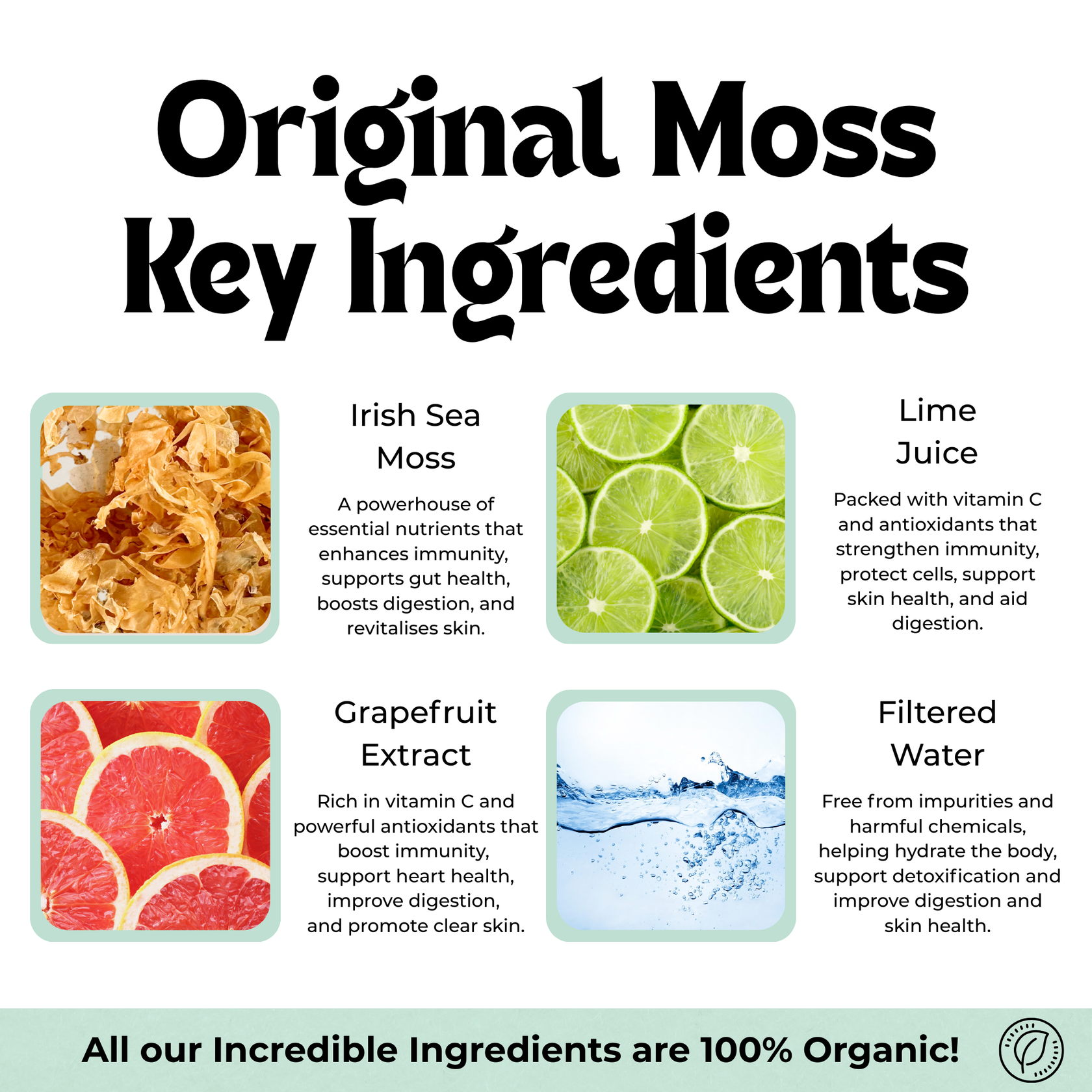Original Moss 500ml | Organic Irish Sea Moss Gel | The Moss Way